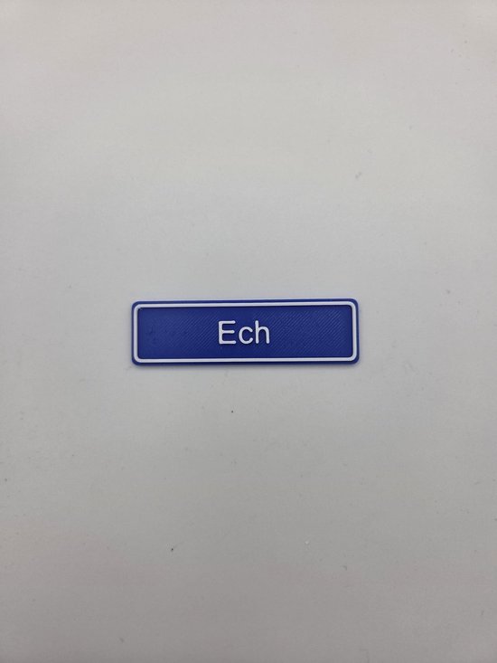 3D plaatsnaam speldje Ech | bol