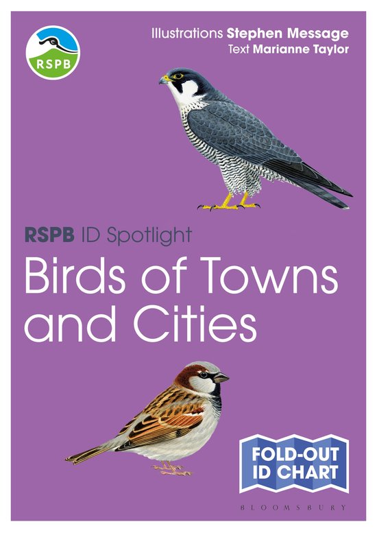 RSPB- RSPB ID Spotlight - Birds of Towns and Cities, Marianne Taylor ...