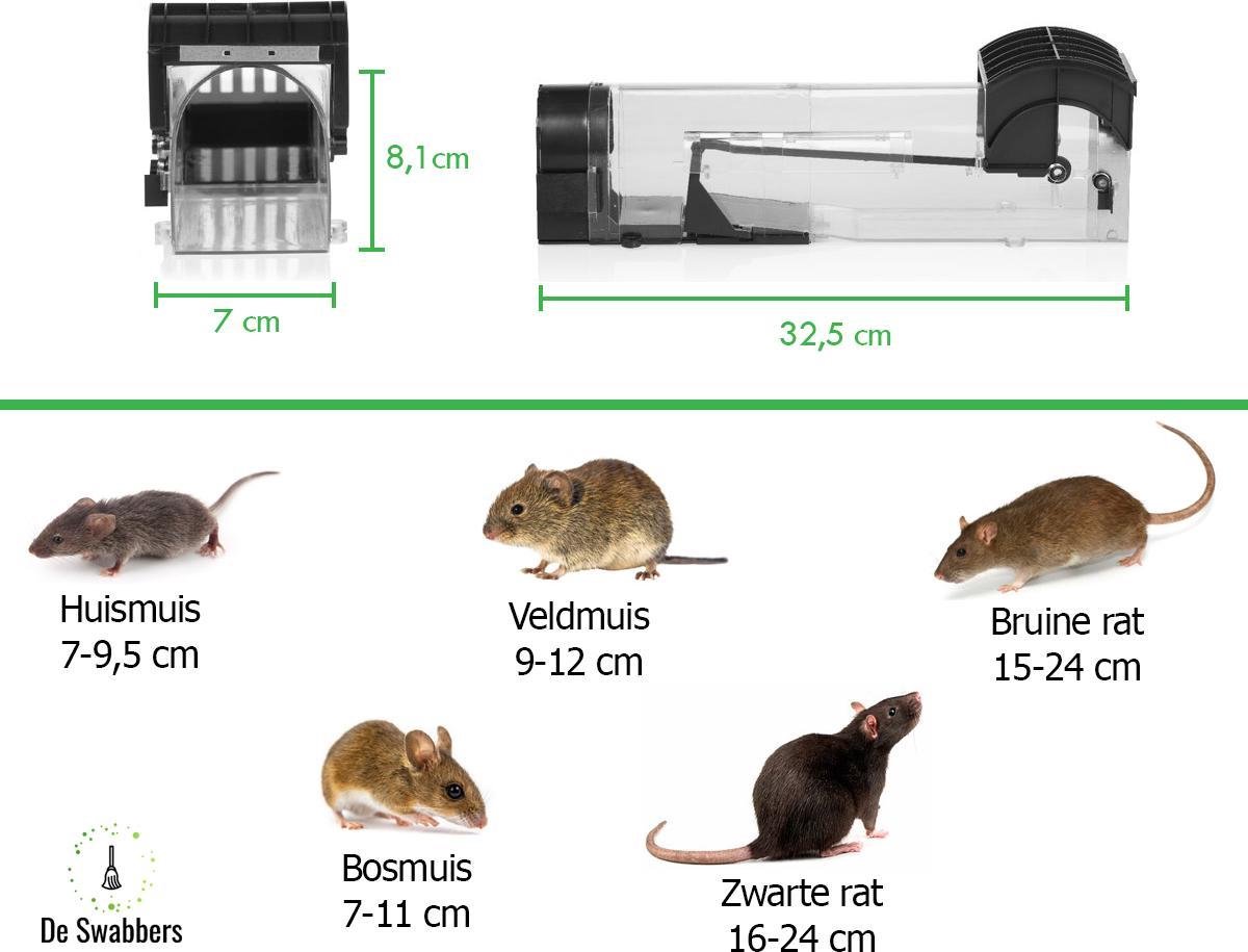 Diervriendelijke muizenval - Rattenval - Voor binnen en buiten | bol.com