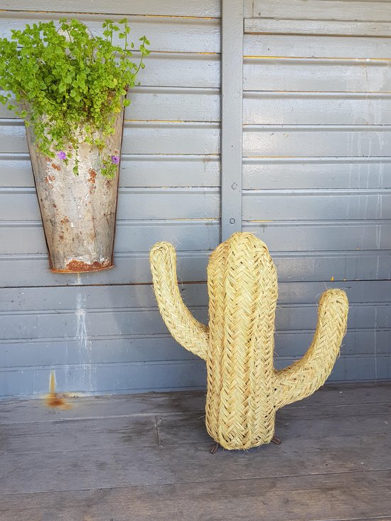 Deco cactus | bol.com