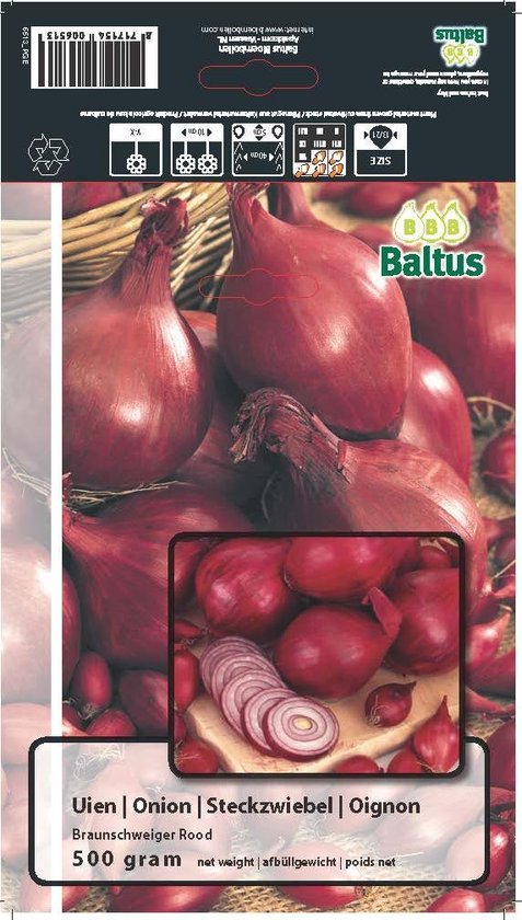 2 stuks Zomer Bloembollen Uien Braunschweiger Rood (per 500 gram) | bol