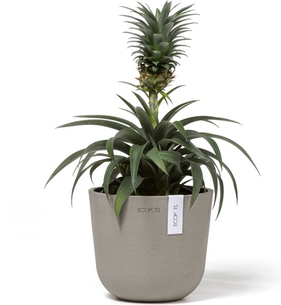 Ecopots Oslo Mini 16 Taupe - Bloempot voor binnen & buiten - Gerecycled ...