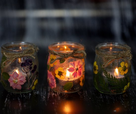 Geperste droogbloemen - 10 stuks Bladgroen Varen | bol