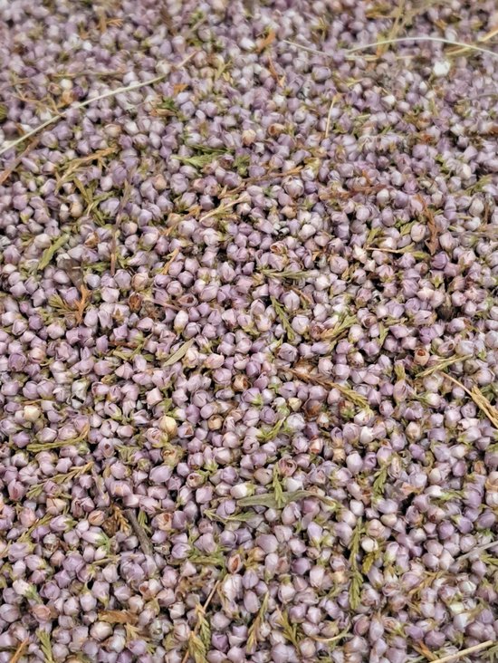 Struikheide (Calluna vulgaris)80g | bol