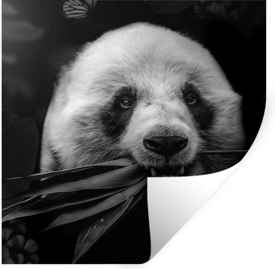 Muurstickers - Sticker Folie - Dieren - Panda - Jungle - Zwart - Wit - 120x120 cm -... | bol