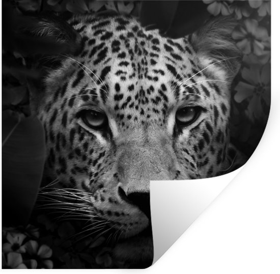 Muurstickers - Sticker Folie - Dieren - Panter - Jungle - Zwart - Wit - 100x100 cm -... | bol