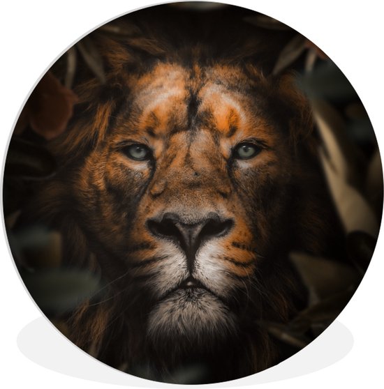 WallCircle - Wandcirkel ⌀ 60 - Dieren - Leeuw - Jungle - Ronde schilderijen woonkamer... | bol