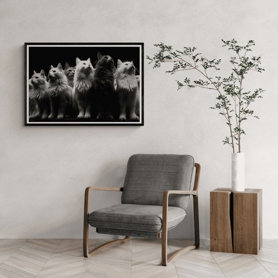 Kattenposter - Groep Katten - Dieren - Wanddecoratie - Kitten - Kittens ...