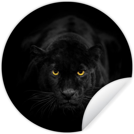 WallCircle - Muurstickers - Behangcirkel - Panter - Dieren - Zwart - Ogen - ⌀ 140 cm -... | bol