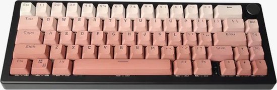 Keycaps Gradient Pink | OEM | PBT | Double Shot | 120 Keys | bol