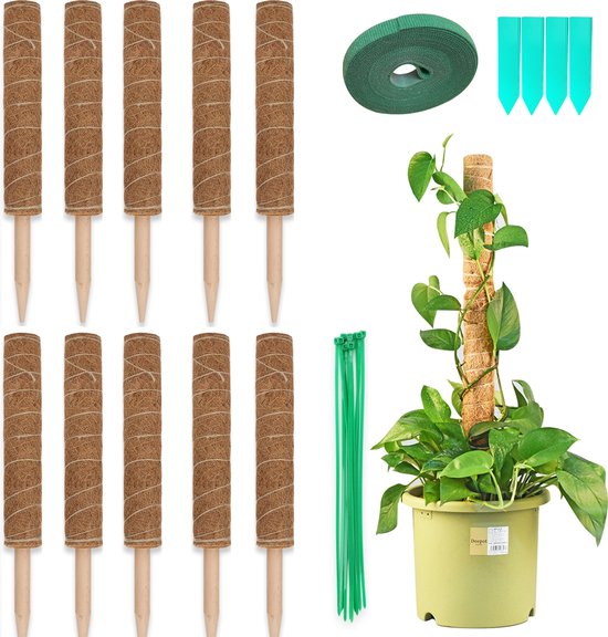 Mosstok voor Planten - 8x 40 cm - Plantenstok - Plantensteun ...
