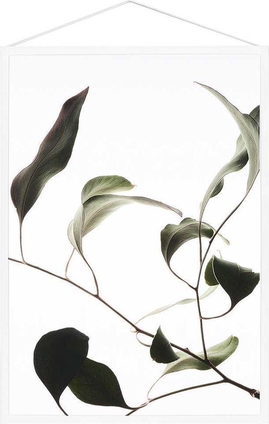 MOEBE Poster Floating Leaves - Groen | bol.com