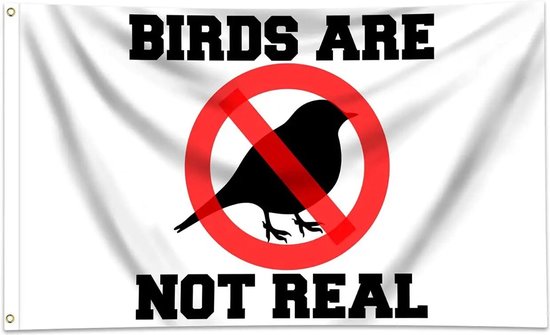Birds are not real Spandoek - 150 x 90 CM - Doek - Vogels - Grappig ...
