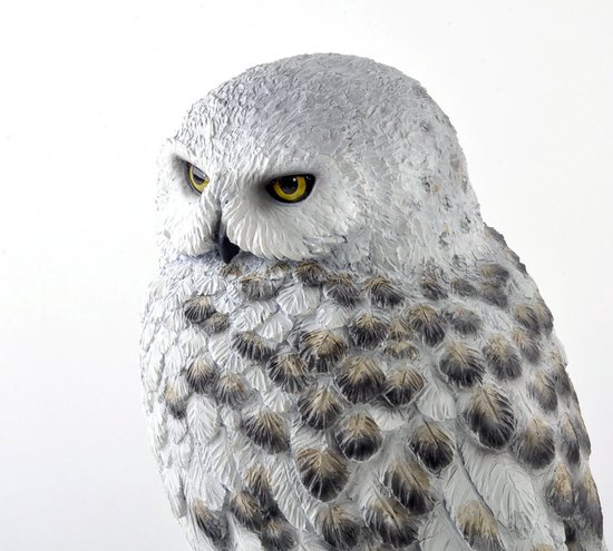Noble Collection Harry Potter - Hedwig Statue / Beeld | bol