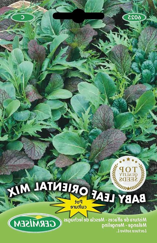 Oriental Mix Sla Zaden 2 g - Baby Leaf | bol