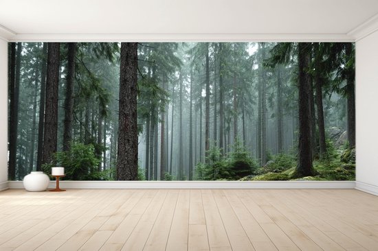 Naadloos behang Fotobehang - Mystical Forest Escape Wallpaper - 250x50 ...
