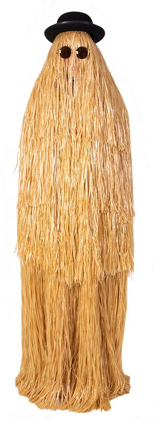 Kostuum Neef Itt Addams Family Stro | bol