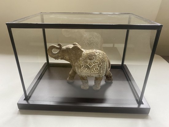 Glazen rechthoekige stolp - Display - Vitrine | bol