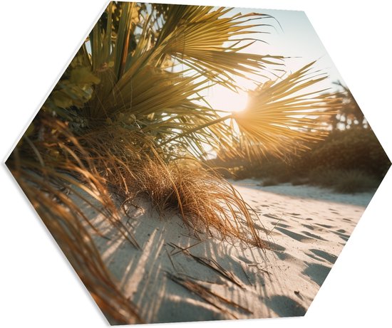 PVC Schuimplaat Hexagon - Zon - Palmbomen - Planten - Zand - 70x60.9 cm ...