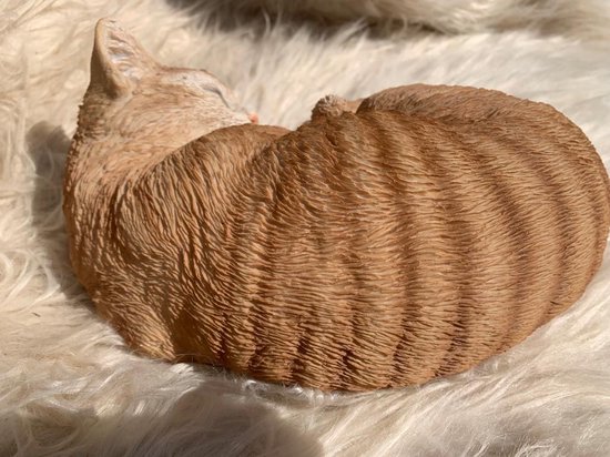 KATTENBEELD SLAPENDE KAT - ROOD. | bol