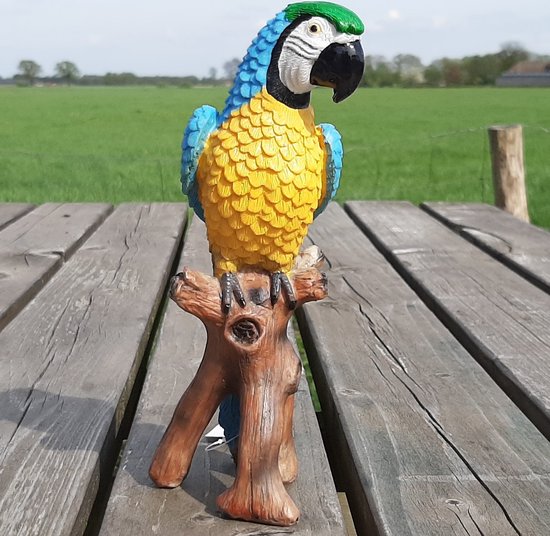 Beeldje papegaai geel-blauw 20cm hoog | bol