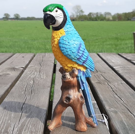 Beeldje papegaai geel-blauw 20cm hoog | bol