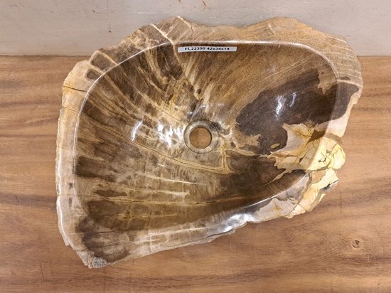 Waskom van versteend hout - 42x34x15cm - FL22350 | bol