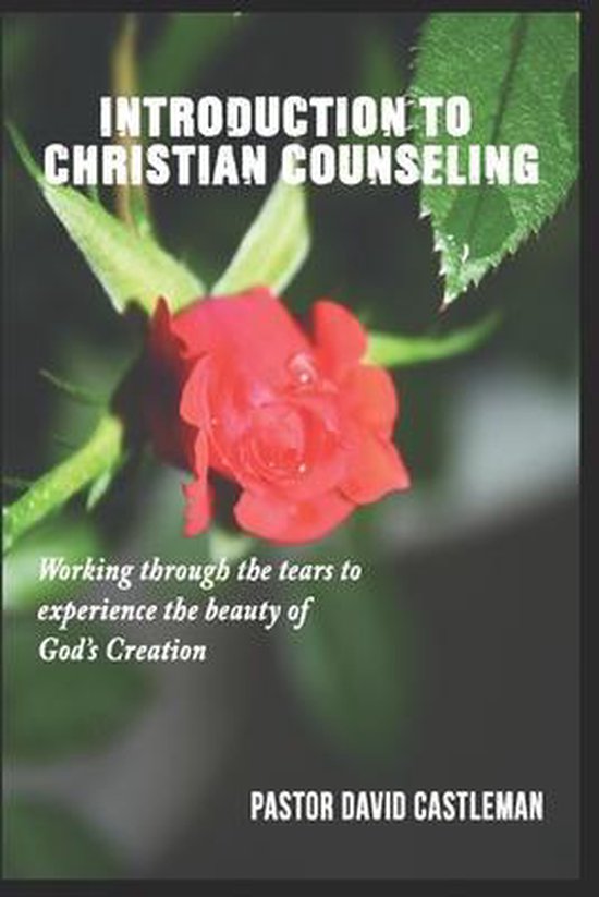 Introduction To Christian Counseling | 9798621937249 | David Castleman ...