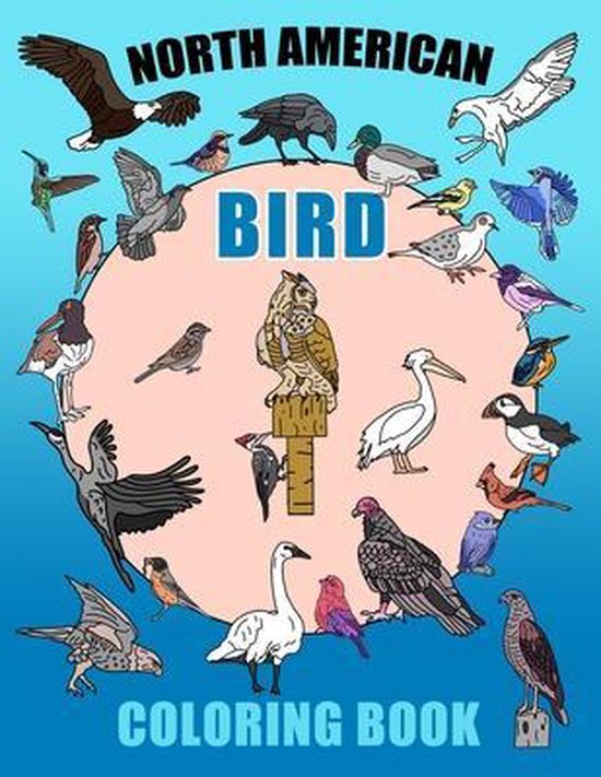 North American Bird Coloring Book, Bee Leave Bugs | 9798648643383 ...