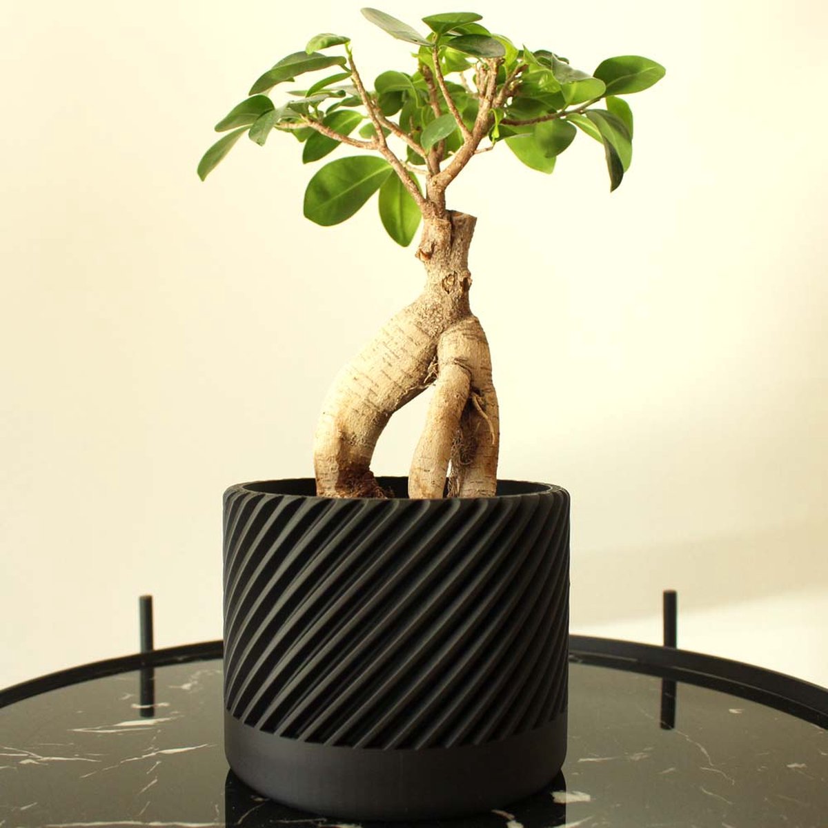 QOME Akira - bloempot - plantenpot - designer - mat zwart - 9cm | bol.com
