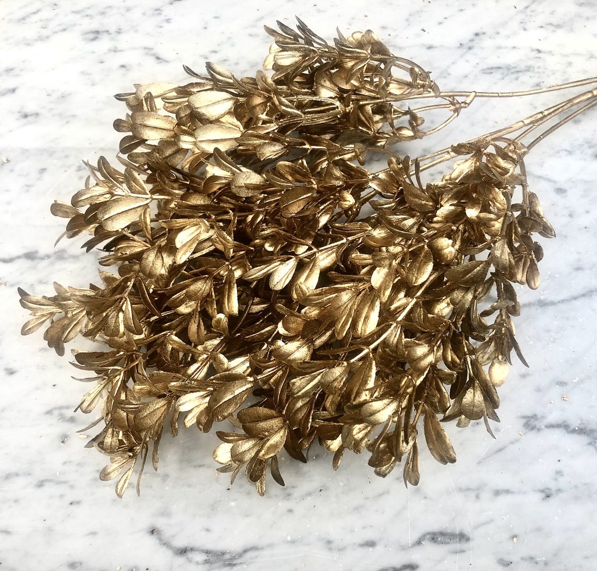 Lauco Decoratieve kunst tak Buxus - goud - pluim - 60cm lang | bol.com