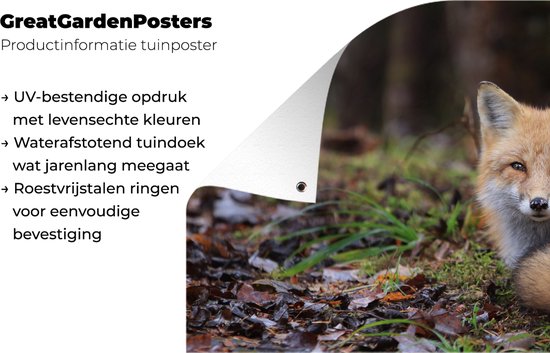 Décoration murale murale extérieure Renard - Forêt - Animal - 160x80 cm ...