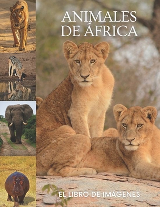 Animales de África, Carla Publisher | 9798418412249 | Boeken | bol