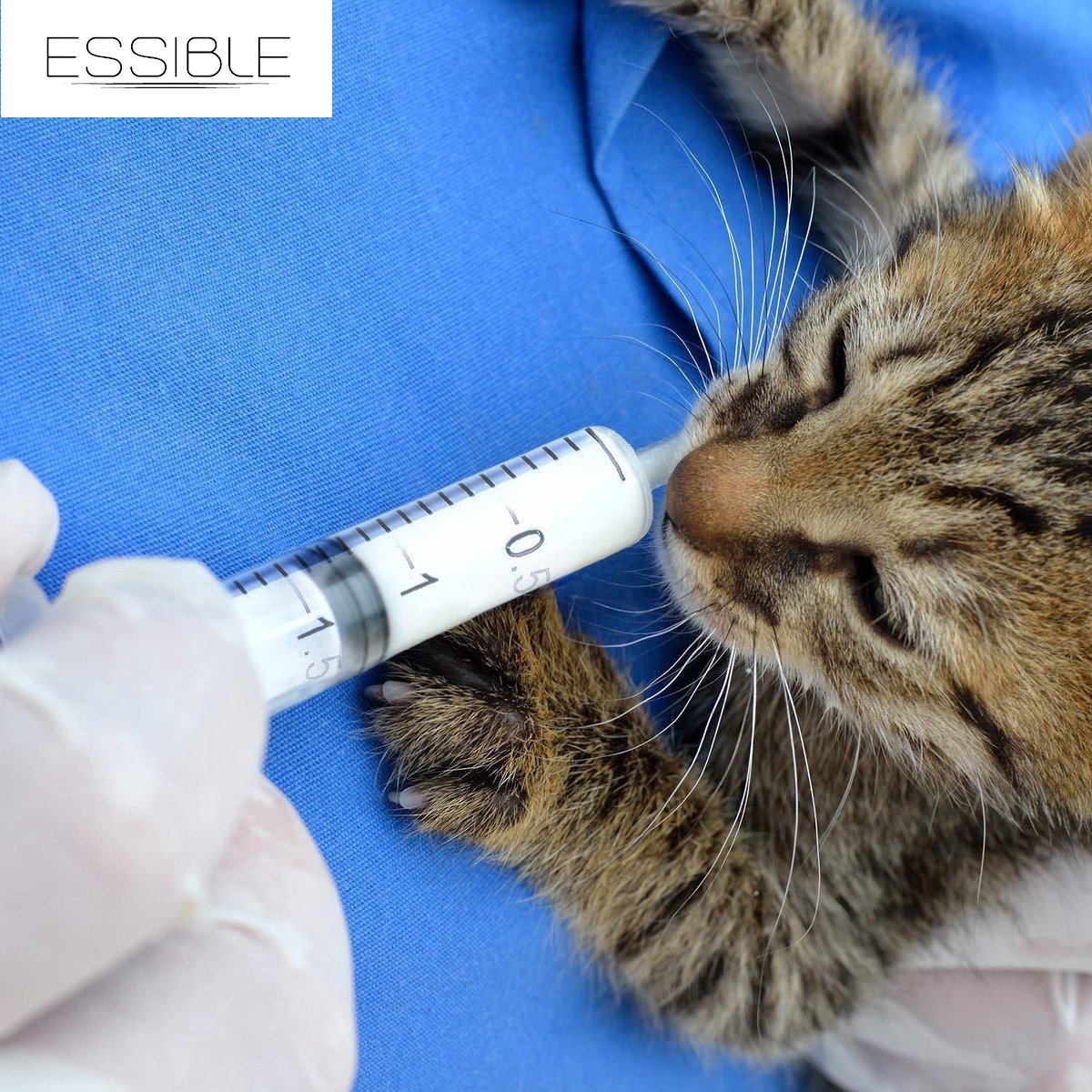 ESSIBLE Spuit - Spuiten - Injectiespuit - Doseerspuit - Injectiespuit ...