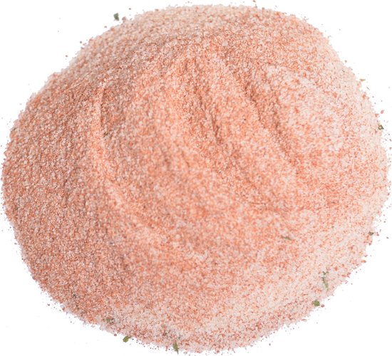 Frites/Patat kruiden Hollands met zout - strooibus 330 gram | bol.com