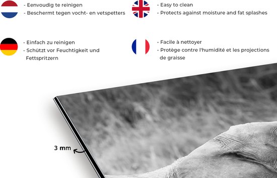 Spatscherm keuken 100x50 cm - Kookplaat achterwand Olifant - Knuffel ...