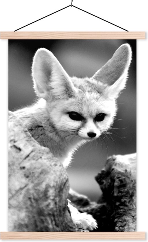 Fennek vos op een oude boomstam - zwart wit | bol.com