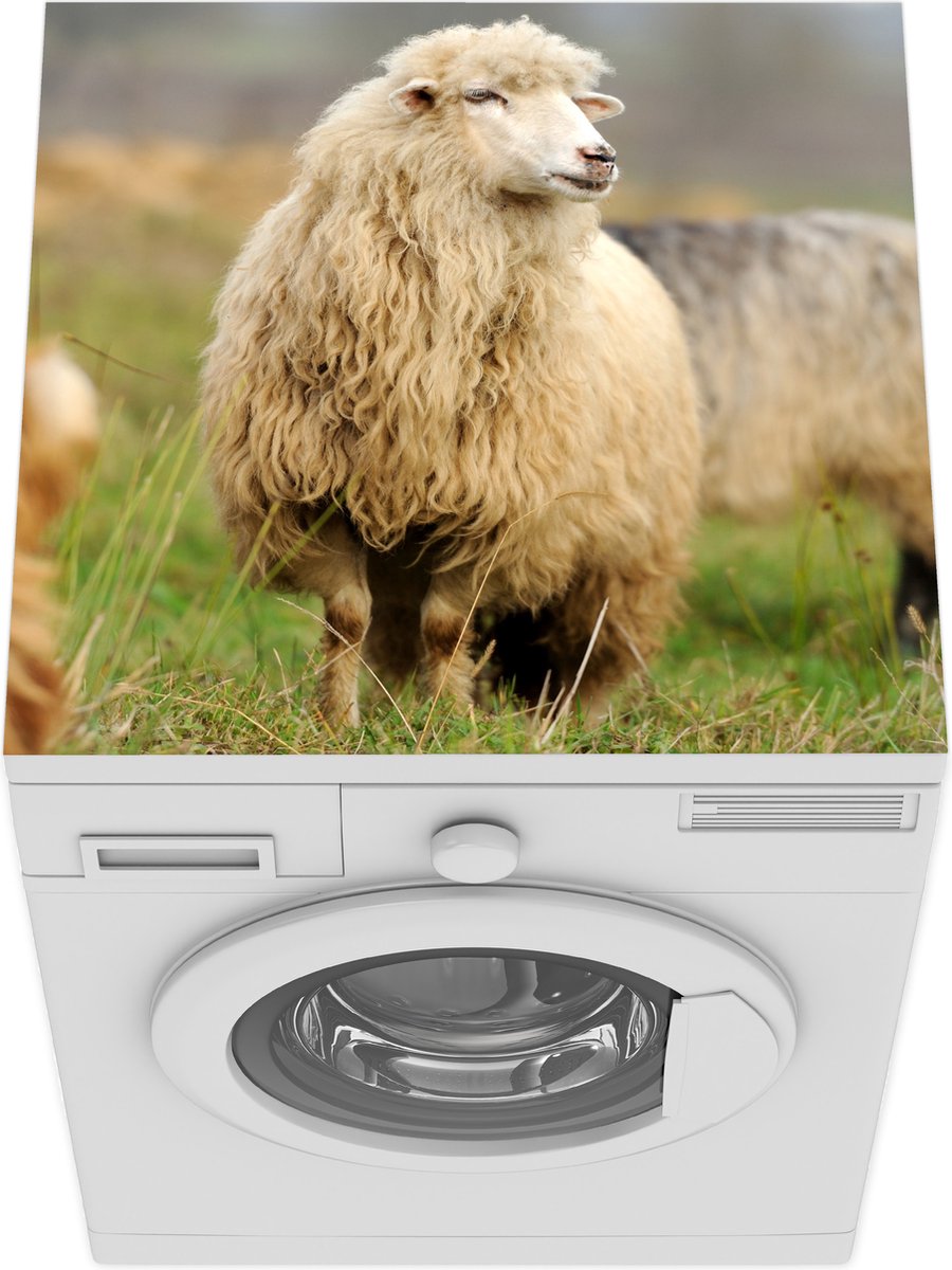 Protège machine à laver - Tapis de machine à laver - Mouton - Laine ...