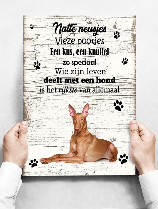 Wandbord hond: Pharaohond - 30 x 42 cm | bol