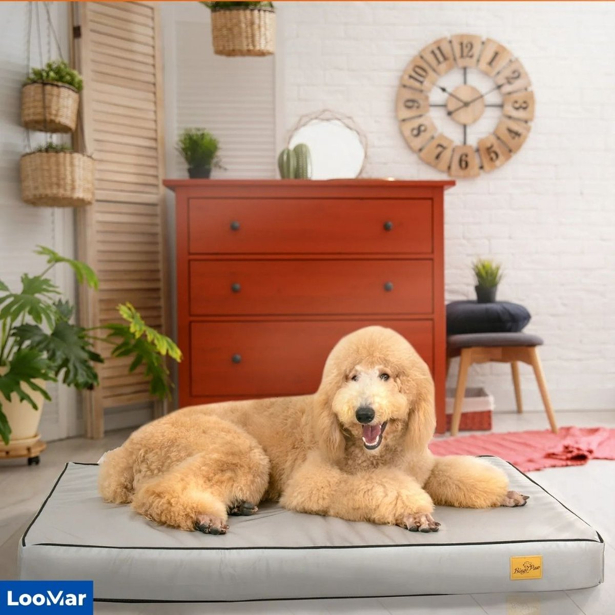 LooMar Hondenbed XL - Hondenbank - Hondenzetel - Hondensofa ...