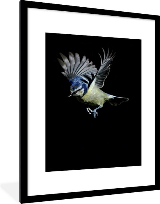 Fotolijst incl. Poster - Vogel - Veren - Portret - 60x80 cm ... Fotolijst incl. Poster - Vogel - Veren - Portret - 60x80 cm ...