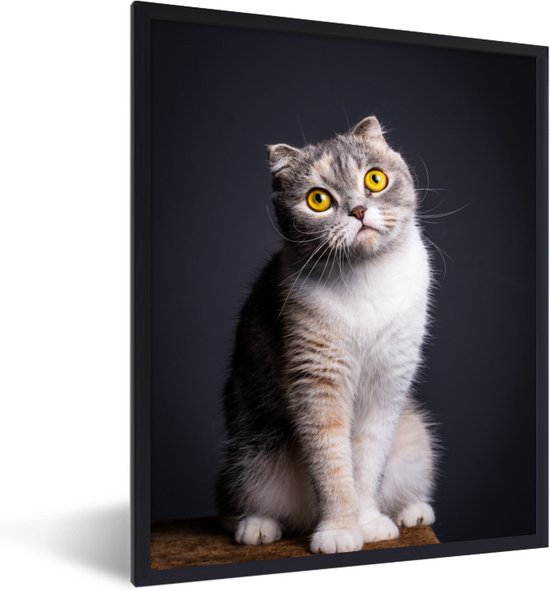 Fotolijst incl. Poster - Kat - Ogen - Licht - 60x80 cm - Posterlijst | bol