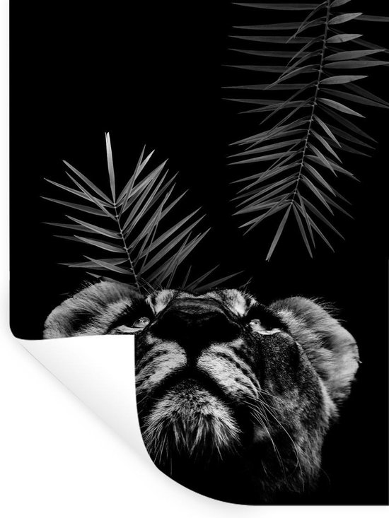 Muurstickers - Sticker Folie - Tijger kijkt omhoog en staat tegen een zwarte... | bol