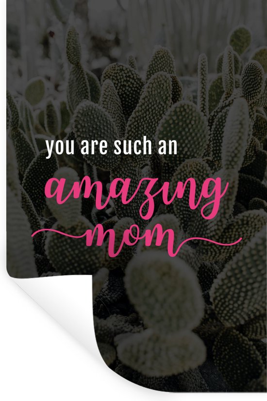 Muurstickers - Spreuken - You are such an amazing mom - Quotes - Mama ...