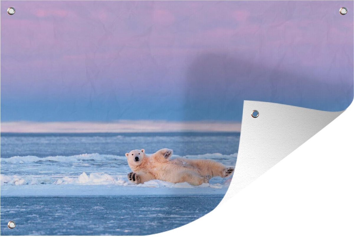 Muurdecoratie Zwaaiende ijsbeer op ijsschots - 180x120 cm - Tuinposter - Tuindoek | bol.com