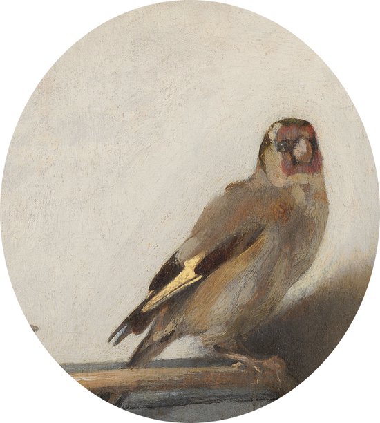 Het puttertje, Carel Fabritius - Foto op Dibond - ⌀ 40 cm | bol