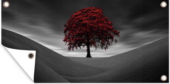 Poster de jardin Photo Zwart et blanc avec un arbre rouge - 80x40 cm ...