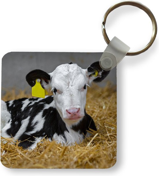 Sleutelhanger - Uitdeelcadeautjes - Koe - Stro - Kalf - Dier - Plastic ...