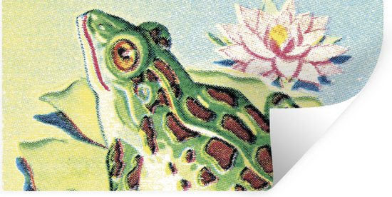 Muurstickers - Sticker Folie - Kikker - Lelie - Water - 40x20 cm ...