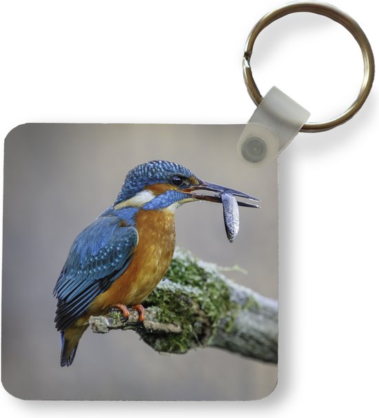 Sleutelhanger - Uitdeelcadeautjes - IJsvogel - Vis - Dier - Plastic | bol